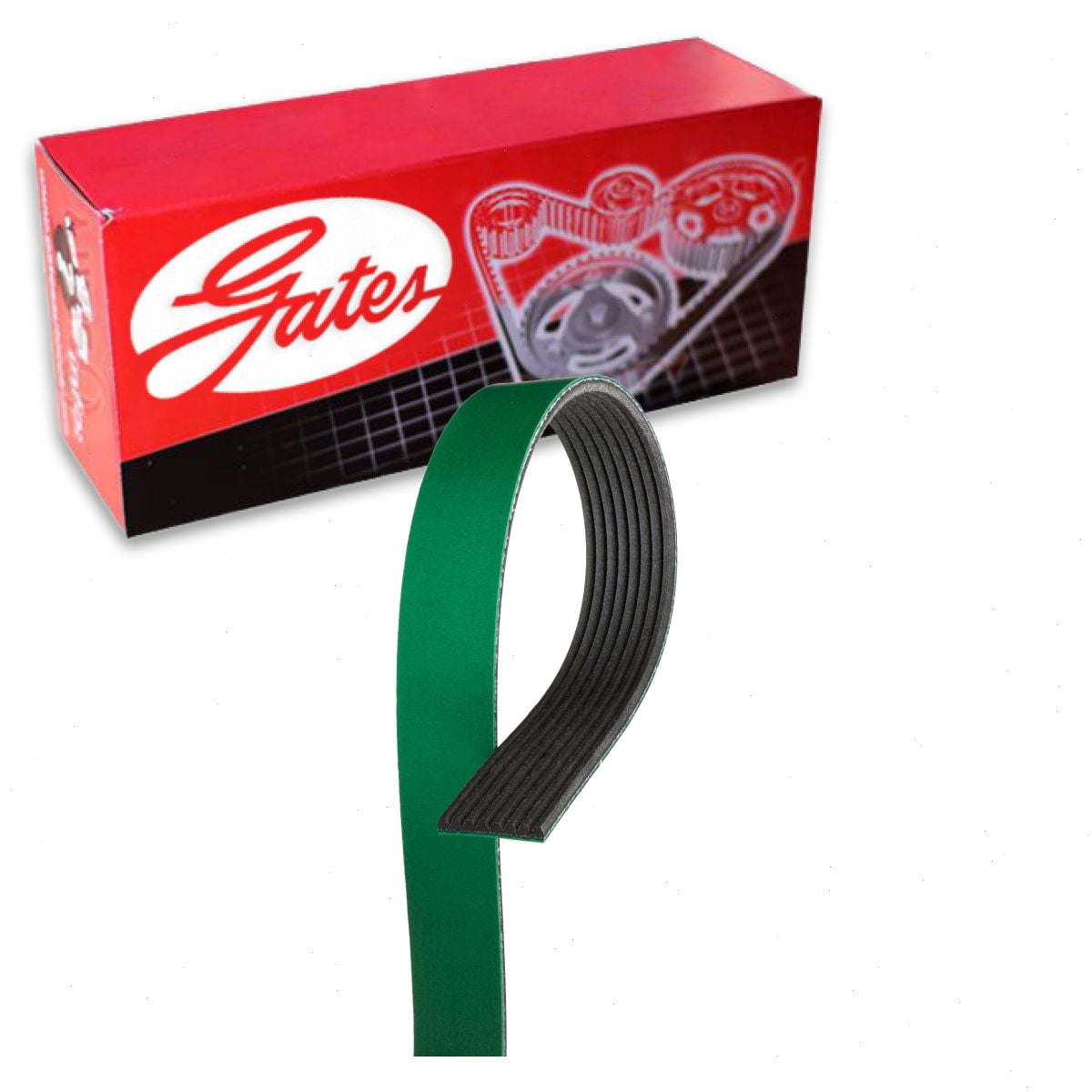 Gates FleetRunner Micro-V Serpentine Belt compatible with Dodge Ram ...