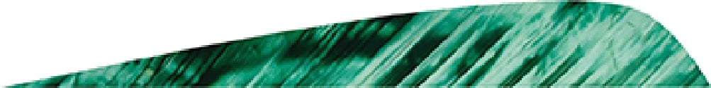 Gateway Feather 400LPTGN-50 Parabolic Feathers Tre Green 4" Left Wing ...