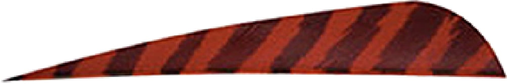 Gateway Feather 400RPBRD-50 Pack Red Archery Hunting Right Wing Arrow ...