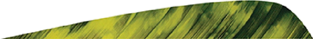 Gateway Feather 400RPTYL-50 Parabolic Feathers Tre Yellow 4" Right Wing ...