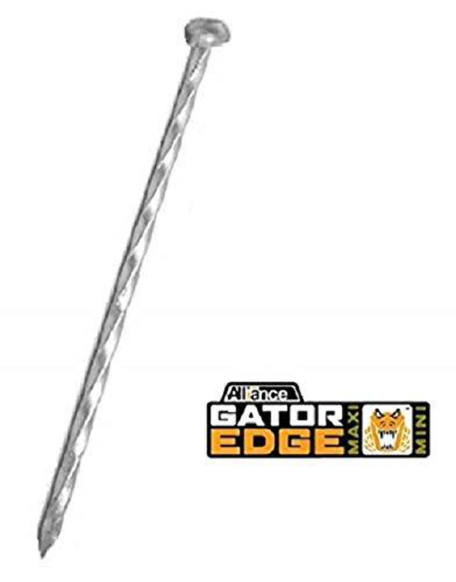 Gator Spiral 10" Nails, Edging Anchoring Spikes, Spiraled for ...