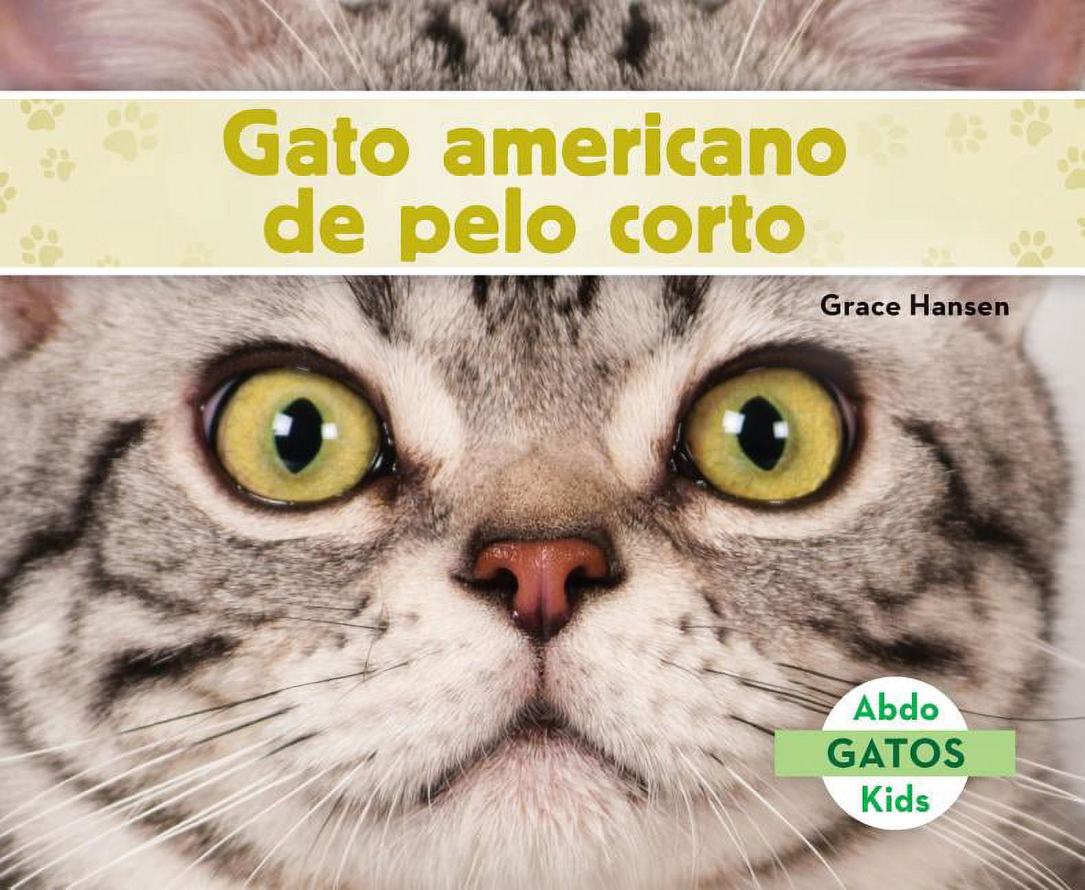 Gatos Set 2 (Cats) Gato Americano de Pelo Corto (American Shorthair ...