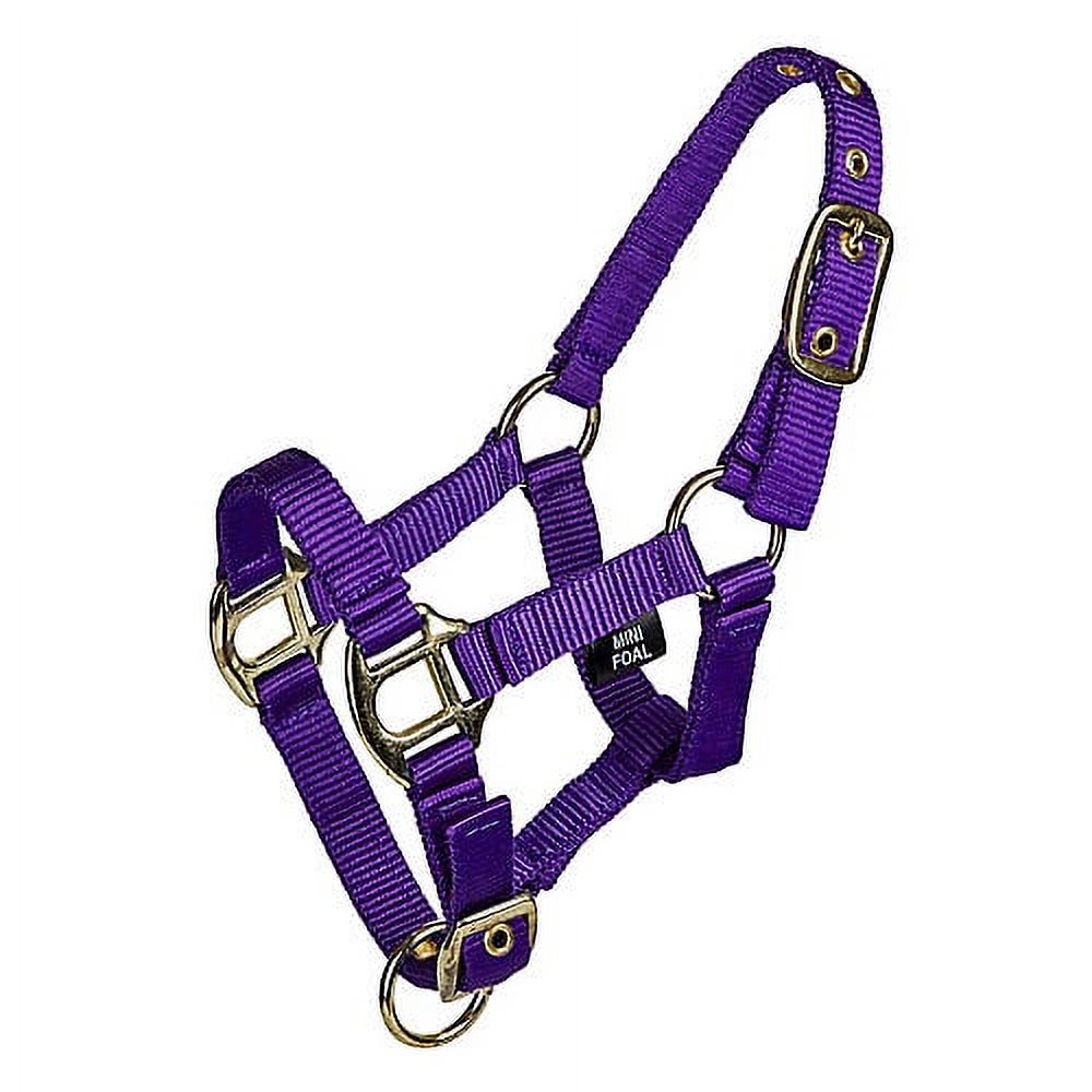 Gatsby 3/4" 2-ply Nylon Mini Halter with Adjustable Chin - Walmart.com