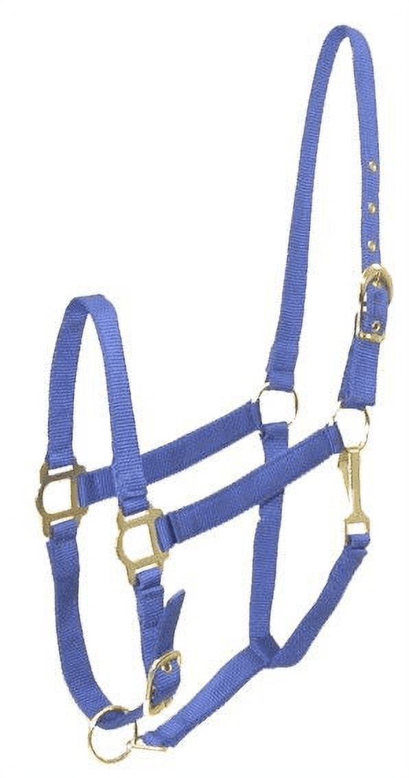 Gatsby Adj Nylon Halter/Snap Horse Royal - Walmart.com