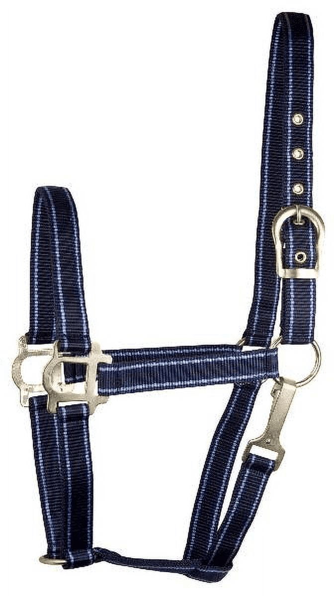 Gatsby Classic Nylon 2-Tone Halter Navy/Light Blue Horse - Walmart.com