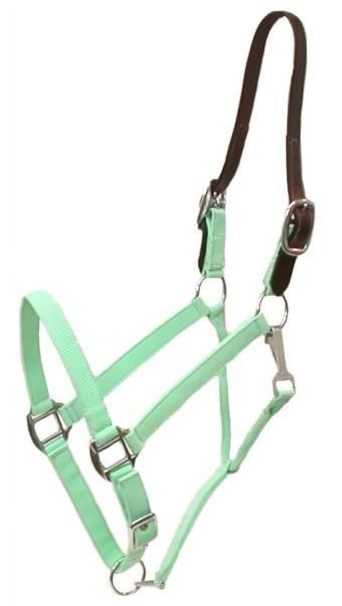 Gatsby Classic Nylon Breakaway Halter With Snap Oversize Mint Green ...