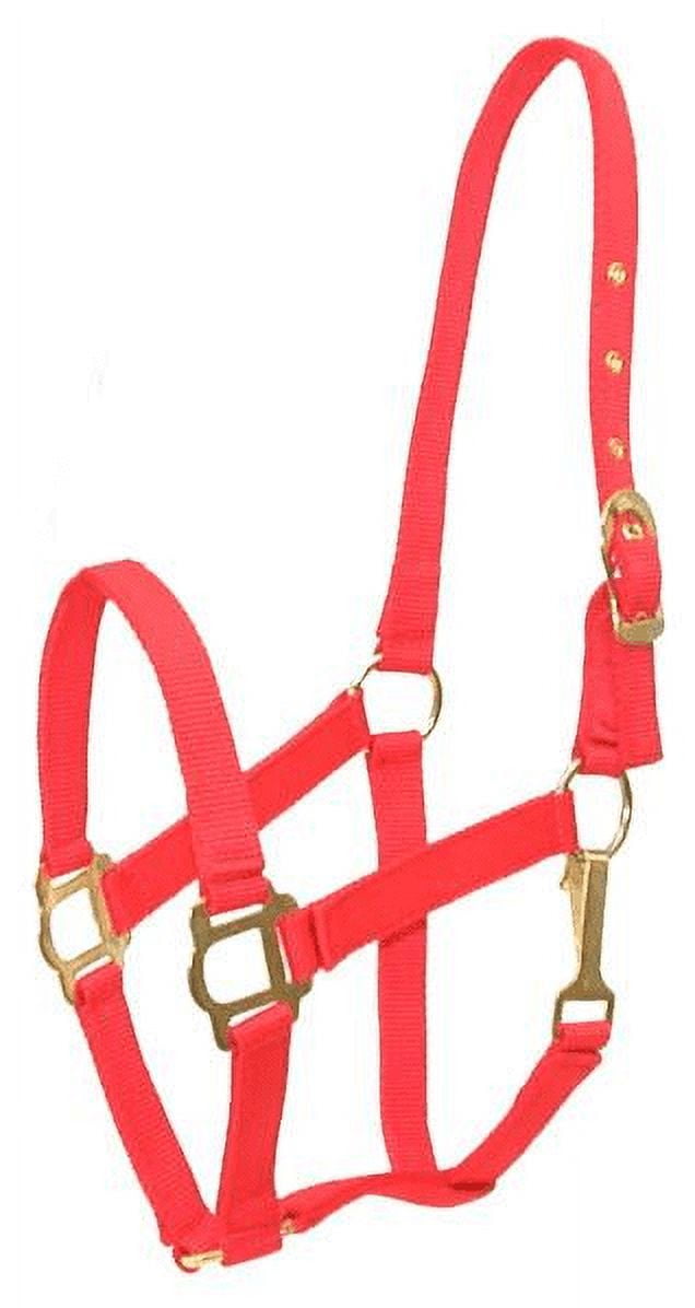 Gatsby Classic Nylon Halter with Snap - Walmart.com