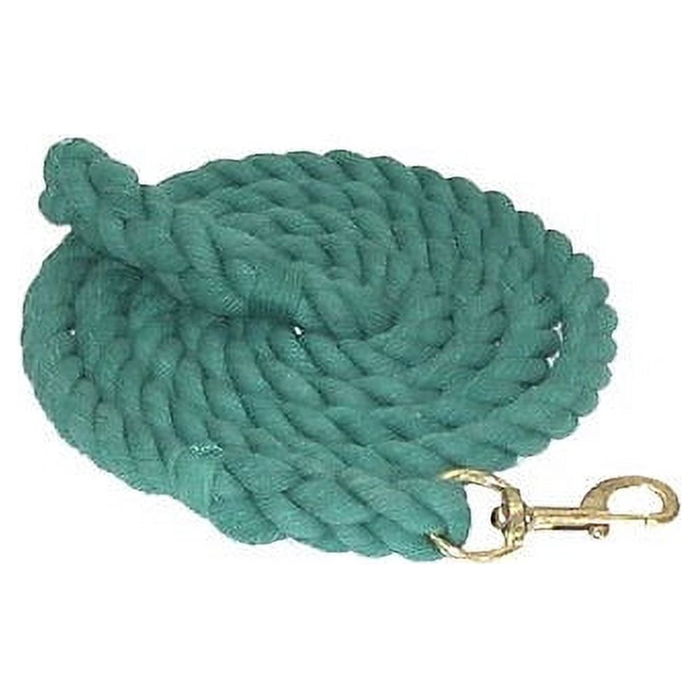 Gatsby Cotton 8ft Lead w/ Bolt Snap Teal - Walmart.com