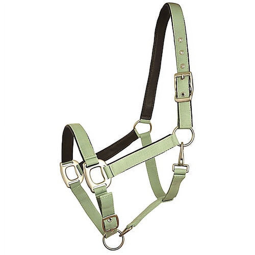 Gatsby Leather Pad Nylon Halter Oversize Pistachio - Walmart.com