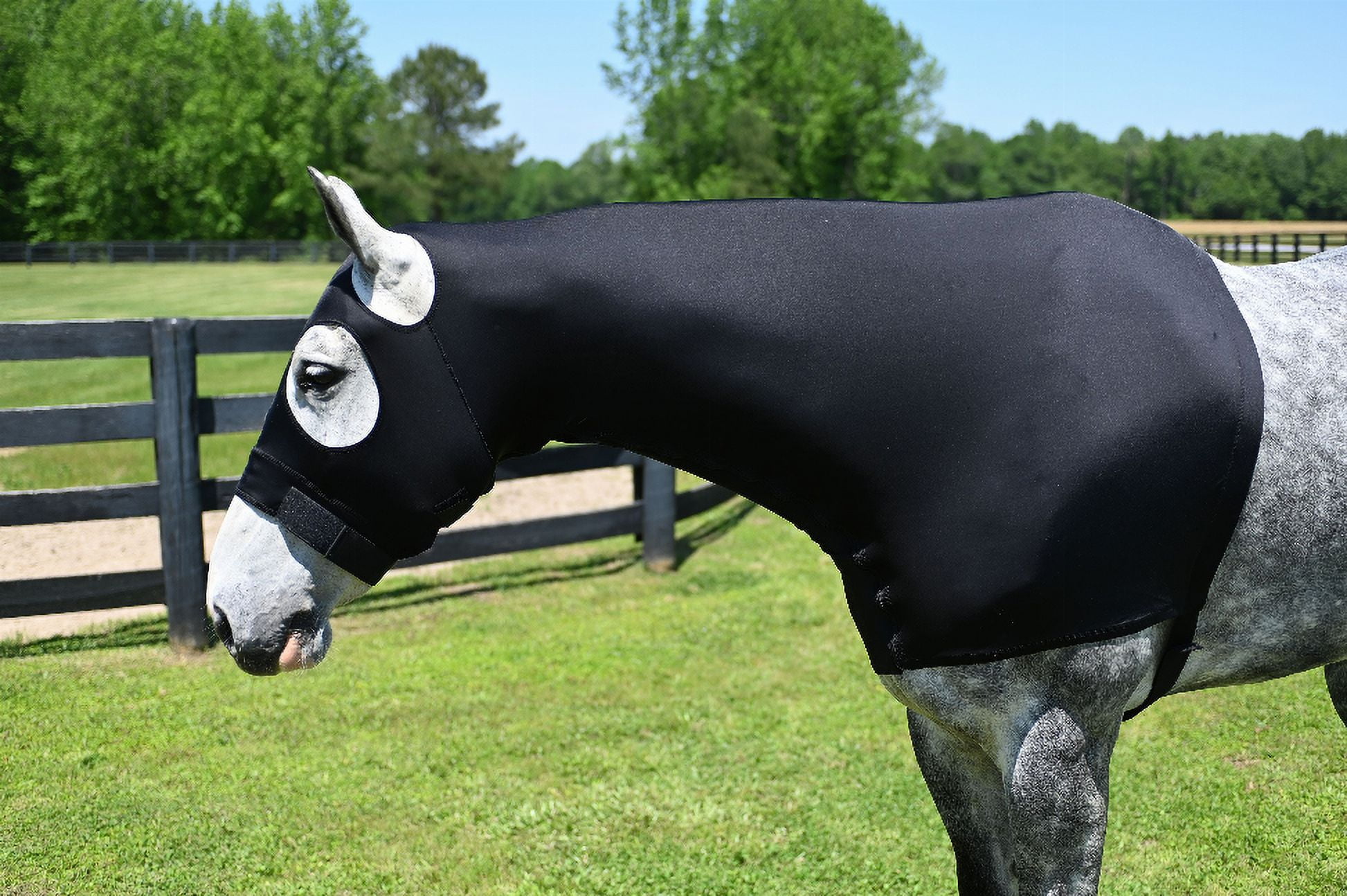 Gatsby Lycra Full Separating Zipper Slicker Hood Burgundy Medium (800 ...