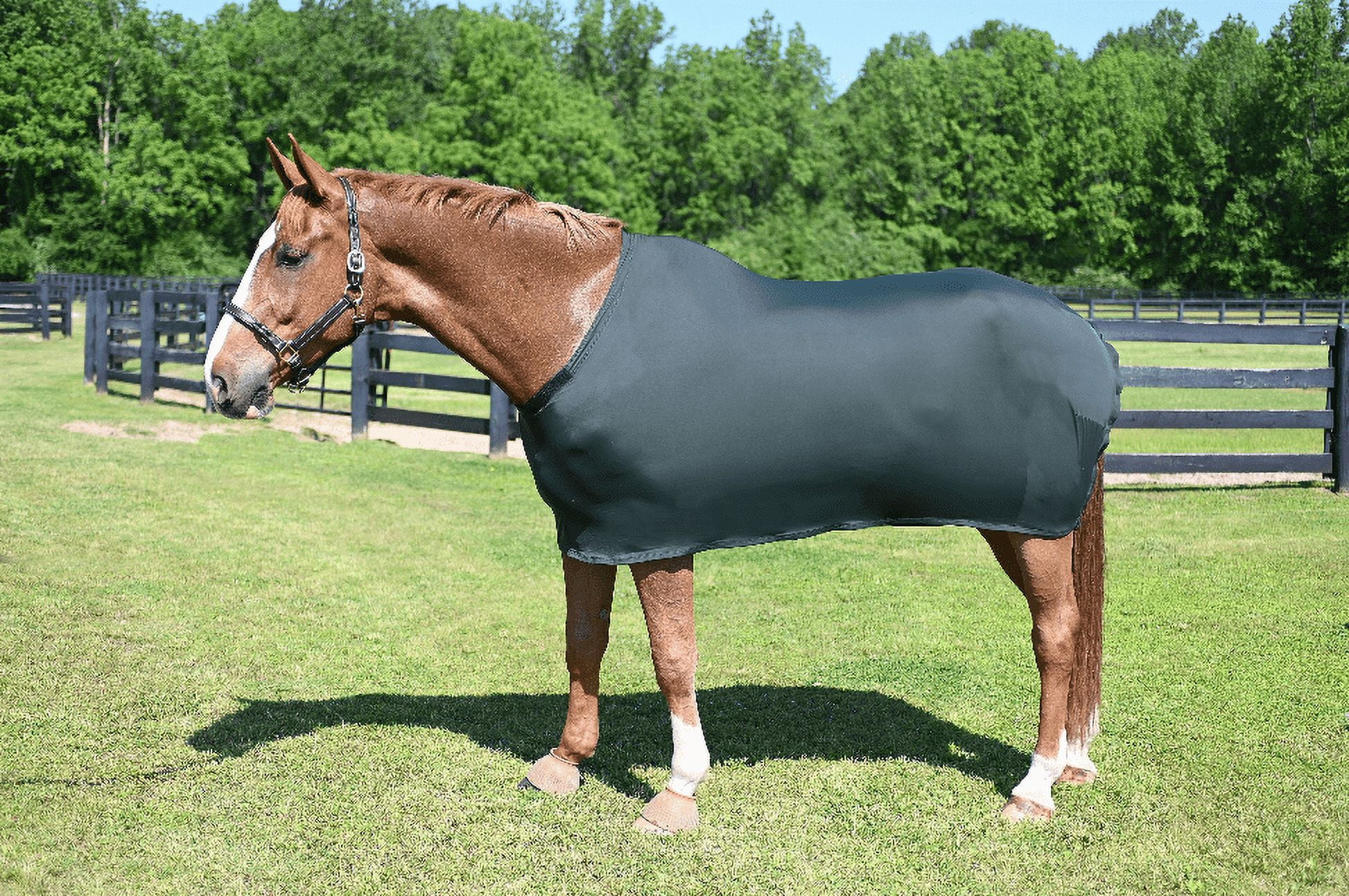 Gatsby Lycra Full Sheet - Walmart.com