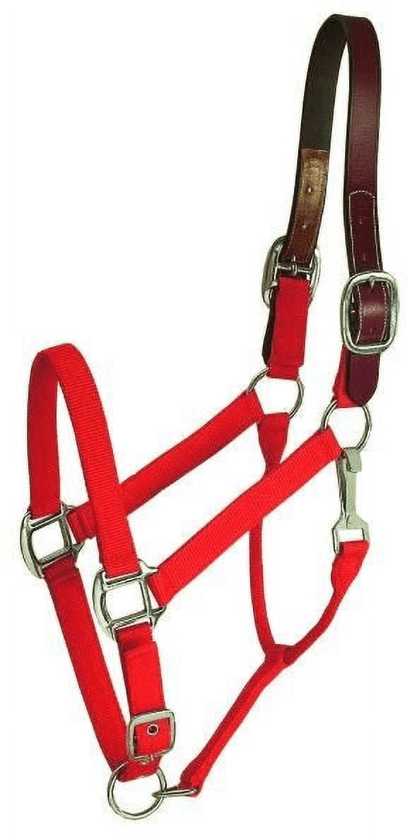 Gatsby Nylon Breakaway Halter Cob Black - Walmart.com
