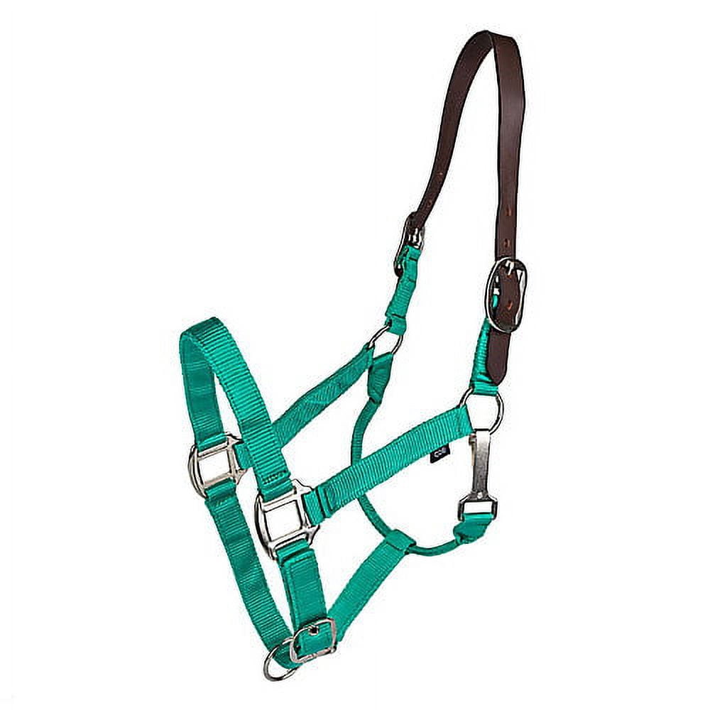 Gatsby Nylon Breakaway Halter Cob Turquoise - Walmart.com