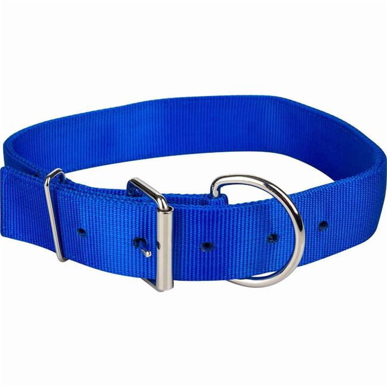 Gatsby Nylon Cattle Collar 1 3/4x44 Blue - Walmart.com