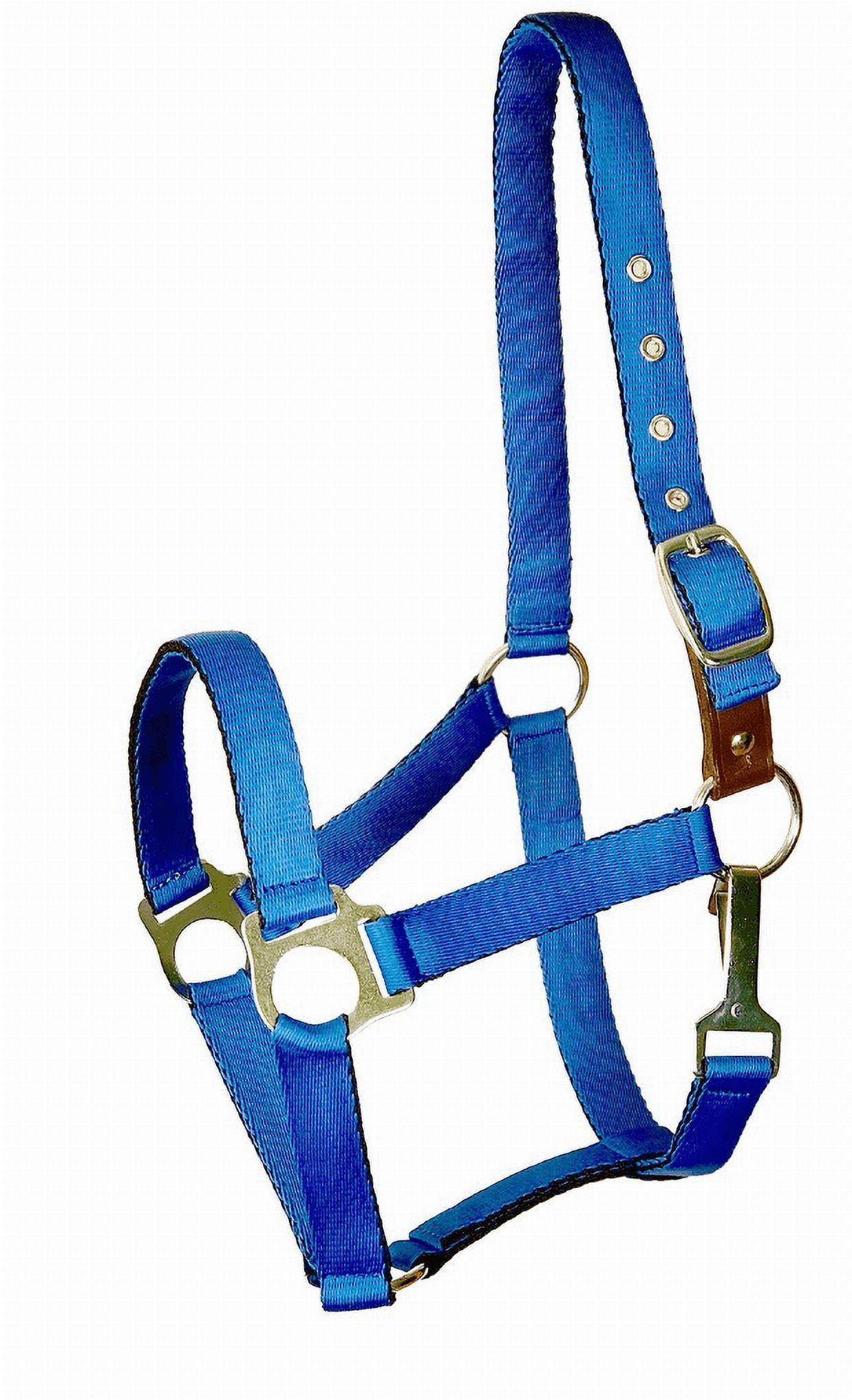 Gatsby Ultra Soft Nylon Safety Halter Royal Blue Pony - Walmart.com