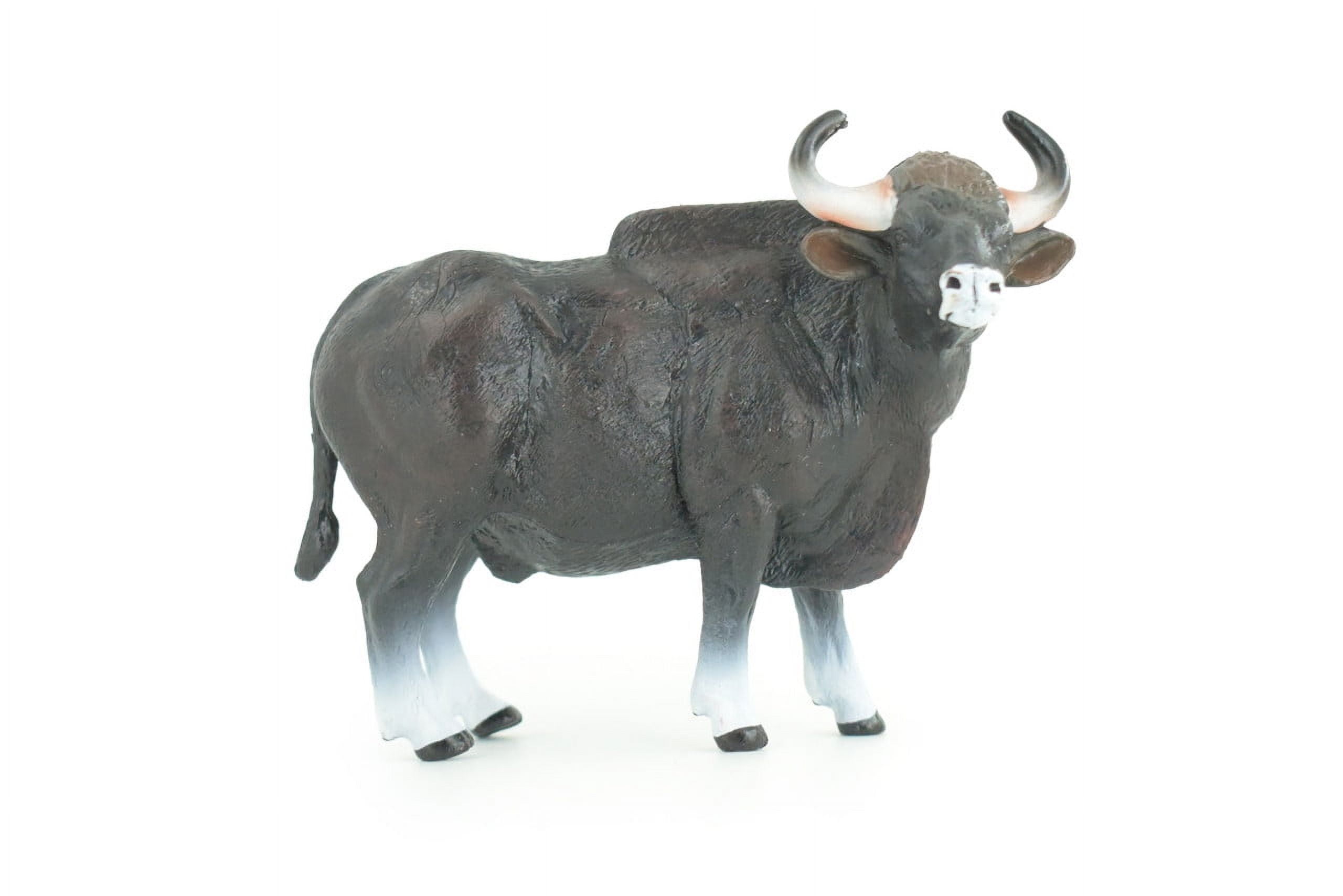 Gaur Bull, Black, Museum Quality, Hand Painted, Educational, High ...