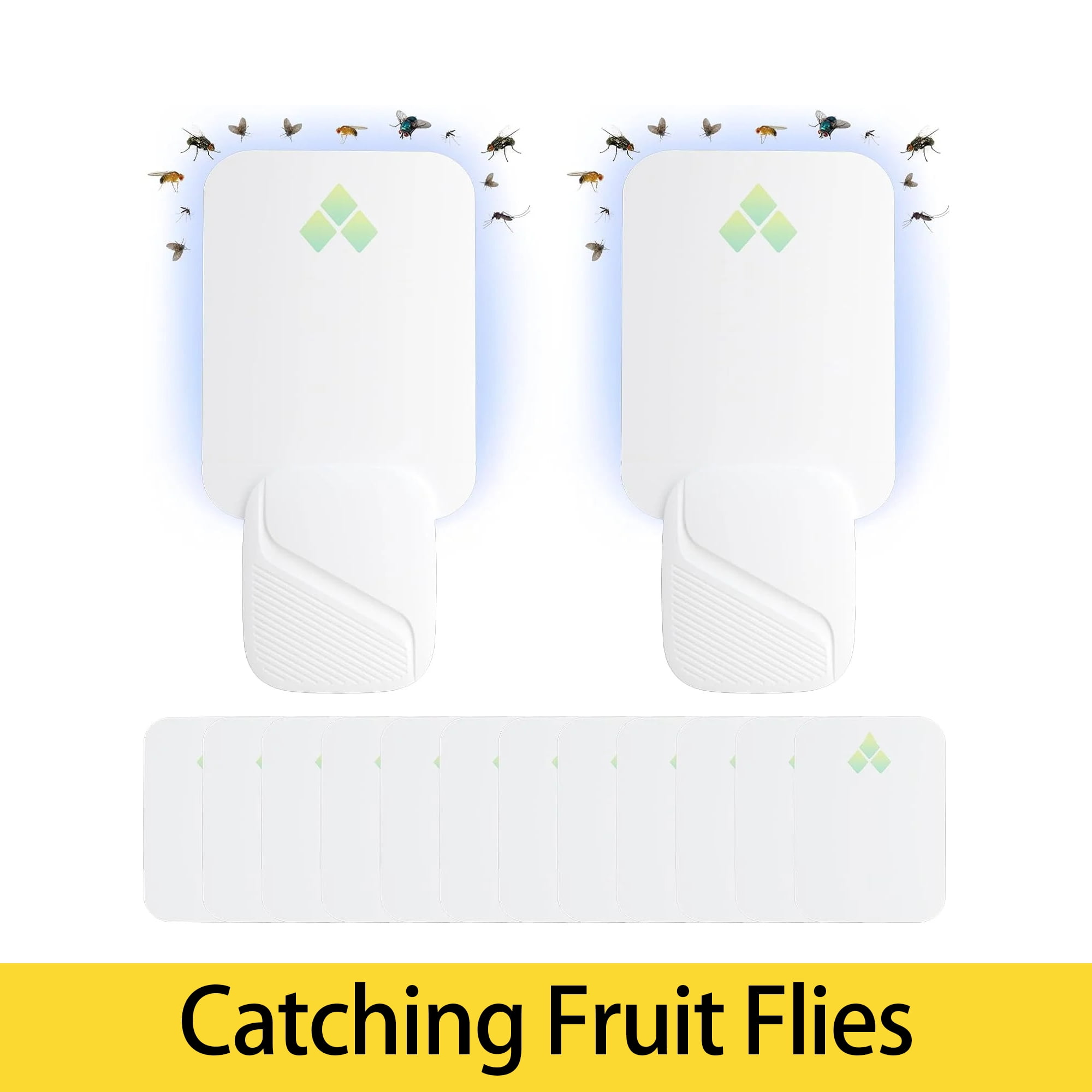Gaway Fruit Fly Traps for Indoors, Plug-in Fly Trap for Flies, Fruit ...