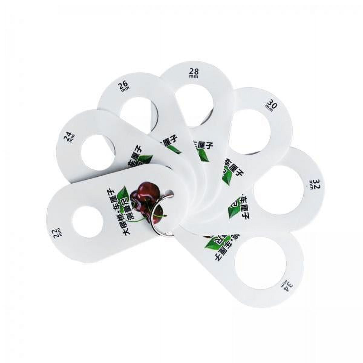 Gazechimp 4xCherry Fruit Caliper 7 Holes Ruler for Fruits for Fresh ...