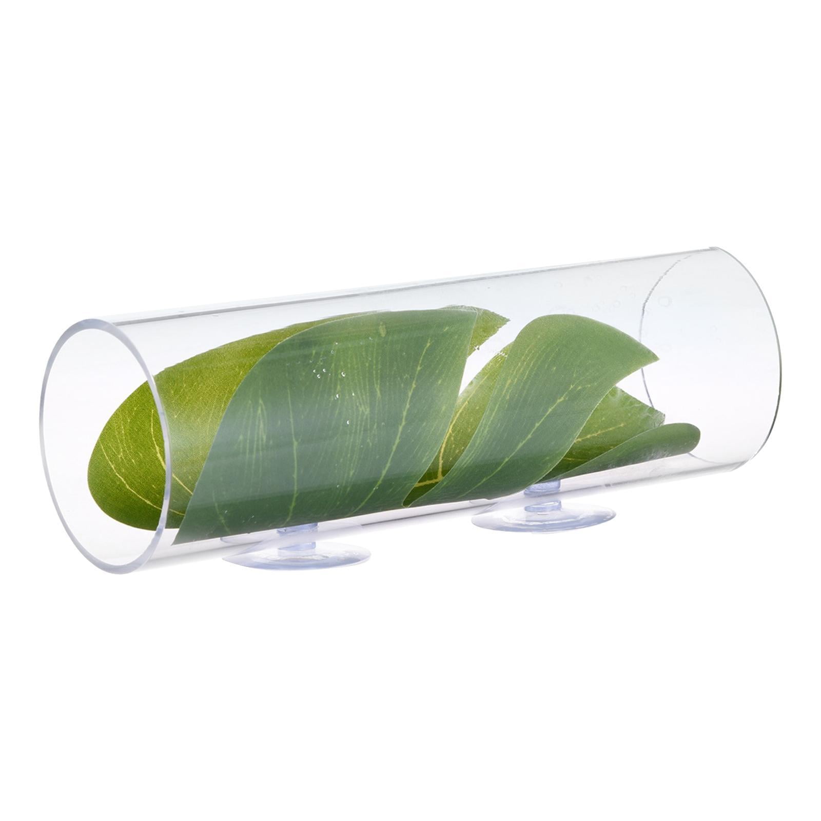 Gazechimp Betta Toy, Betta Tunnel Betta Acrylic Tube Pond with Suction ...