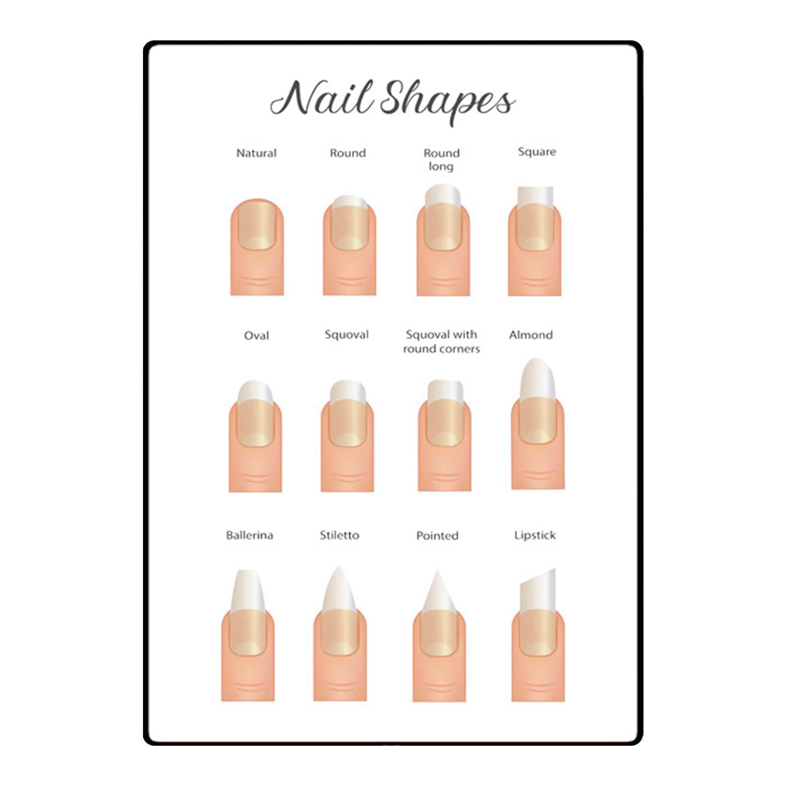 Gazechimp Nail Shape Display DIY Fashion s Color Display Board Nail Art ...