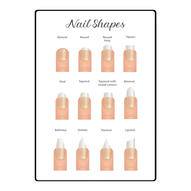 Gazechimp Nail Shape Display DIY Fashion s Color Display Board Nail Art ...