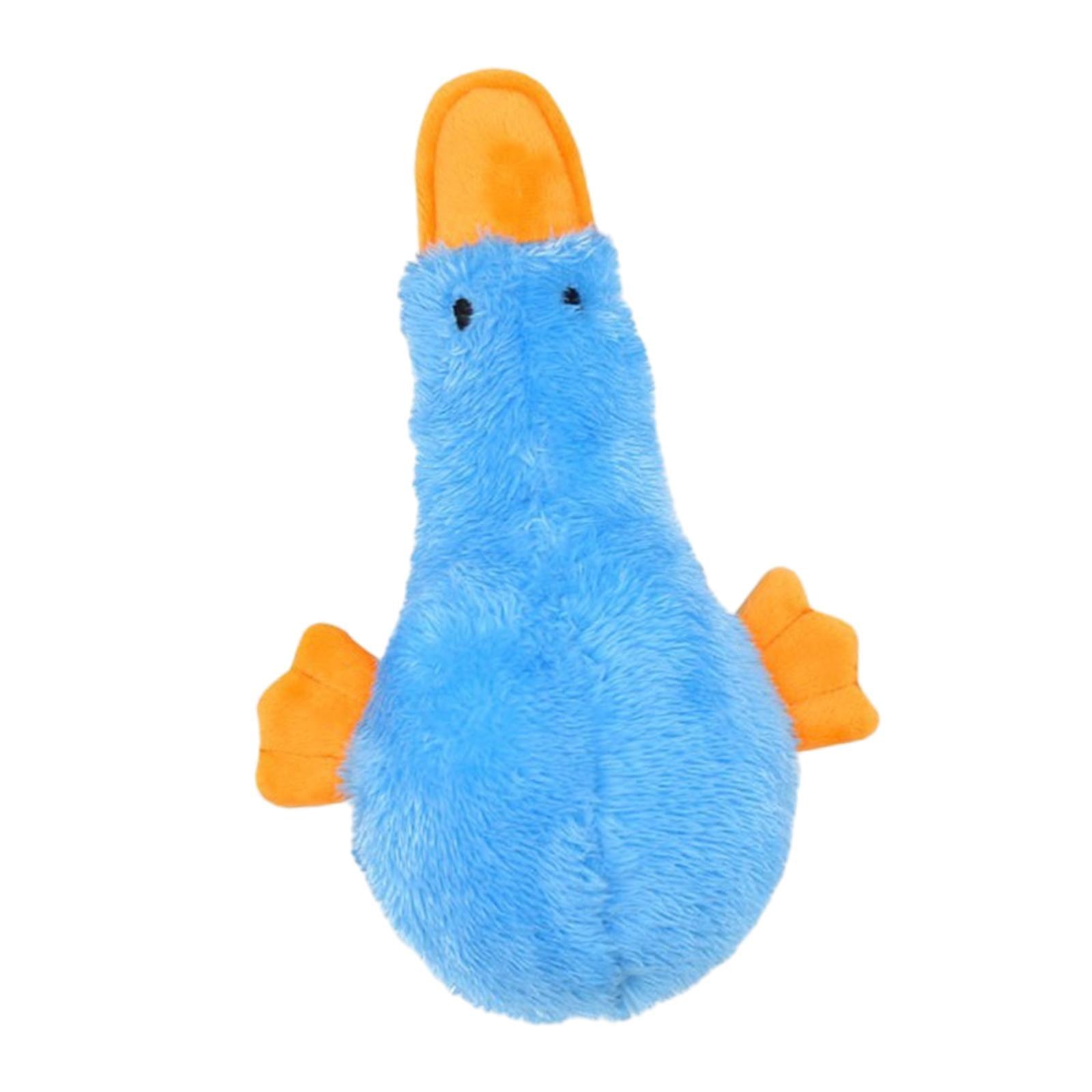 Gazechimp Pet Dog Squeak Toy s Puppy Chew Toy for Kitten Indoor Cats ...