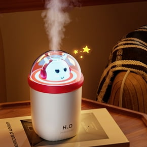 Small Desk Diffuser