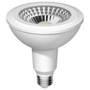 LED 16W Bulbs