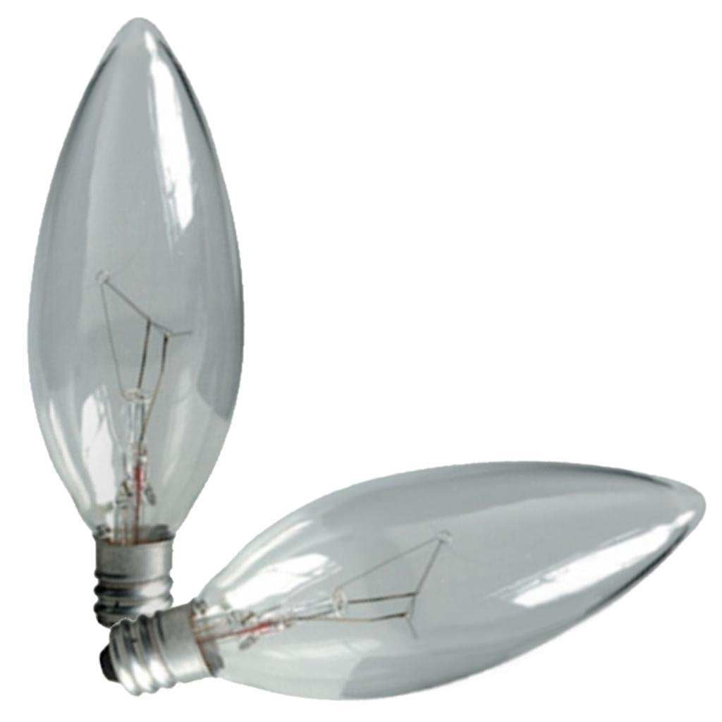 GE 2-Pack 15-Watt Crystal Clear Multi-Use Blunt Tip Light Bulbs ...