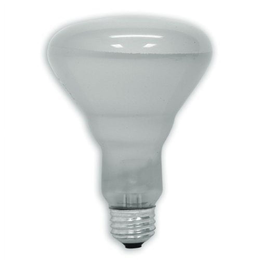 Ge Lighting 46855 65 Watt Reflector Flood Light Bulb Br30 TEJ ...
