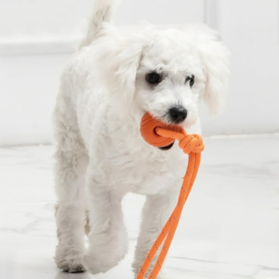 GeBuSn 32.5x7cm Interactive Puppy Chewing Rope For Dogs Portable Molar ...