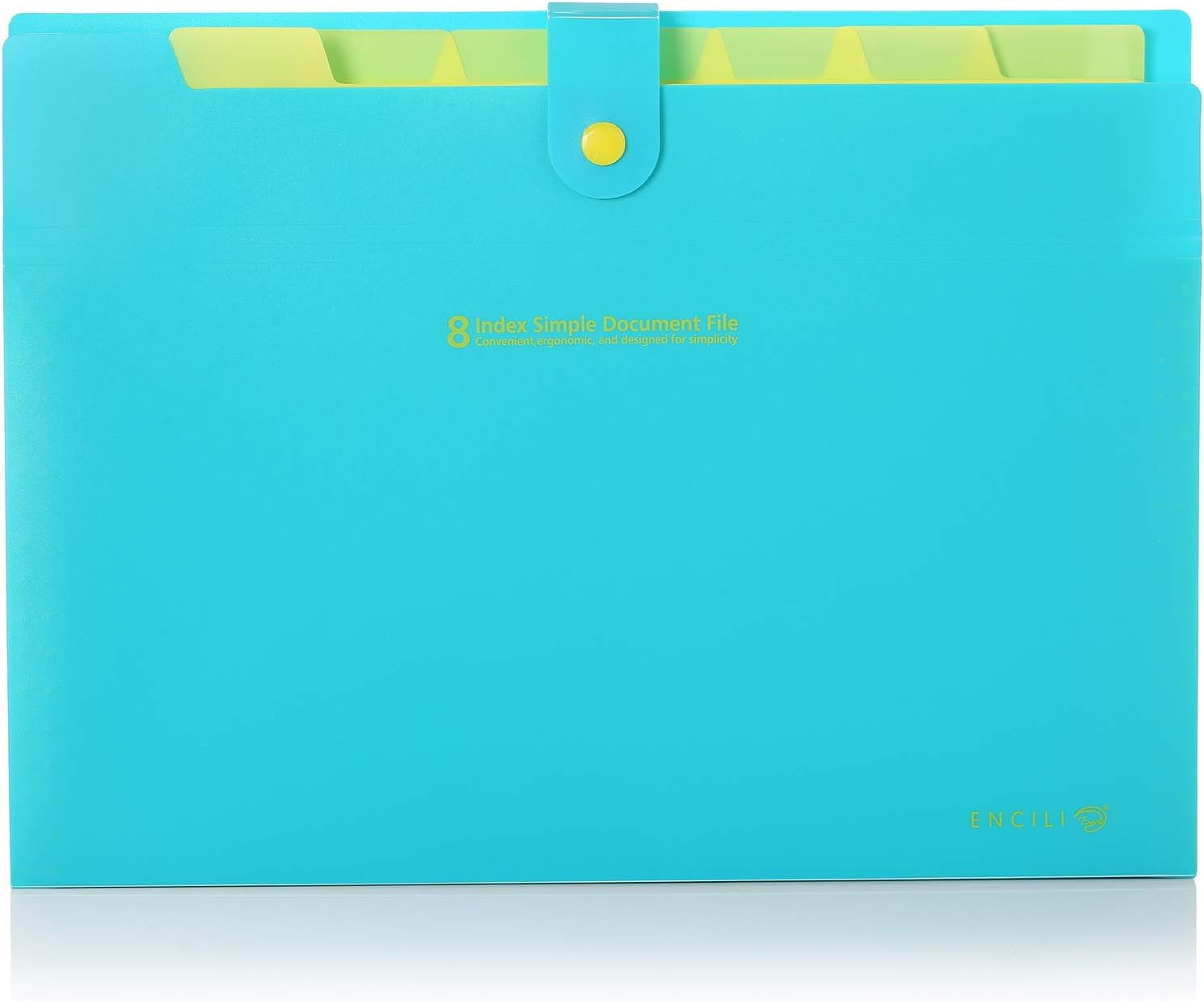 Gealach 8-Pocket Blue Folding File Organizer, Expandable, A4 Letter ...