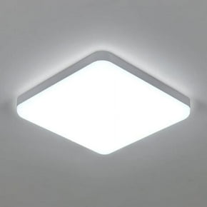 Remote Controlled Ceiling Light Fixture