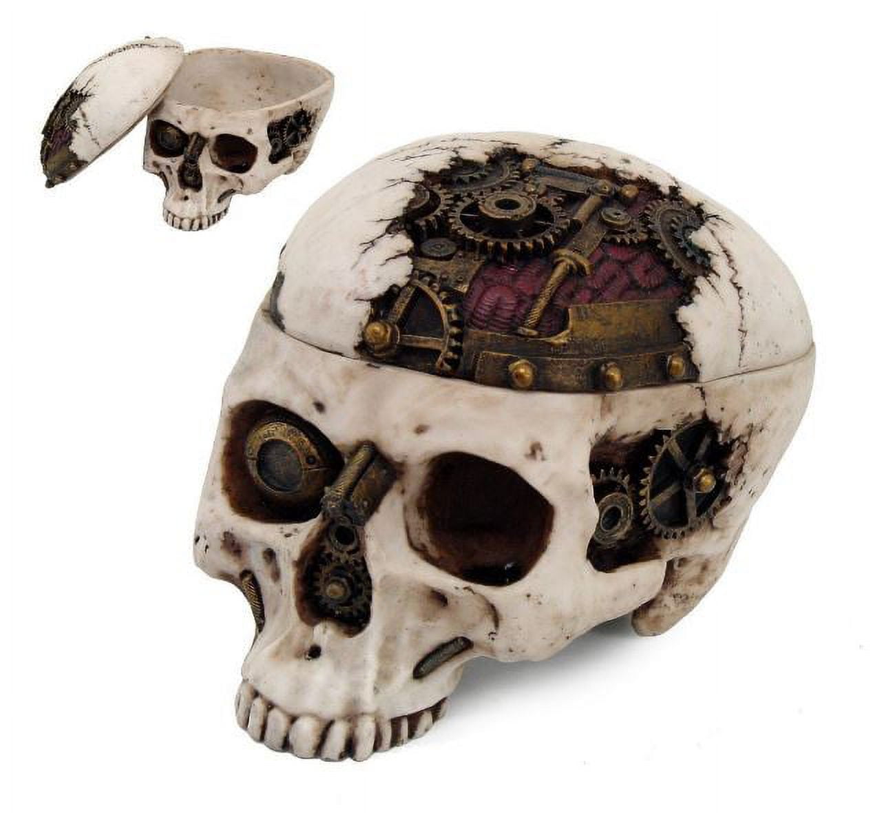 Gear Brain Steampunk Skeleton Skull Halloween Jewelry Trinket Box ...