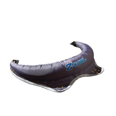 Gear Pro-Tec Z-Cool® Youth Protective Football Back Plate - Walmart.com