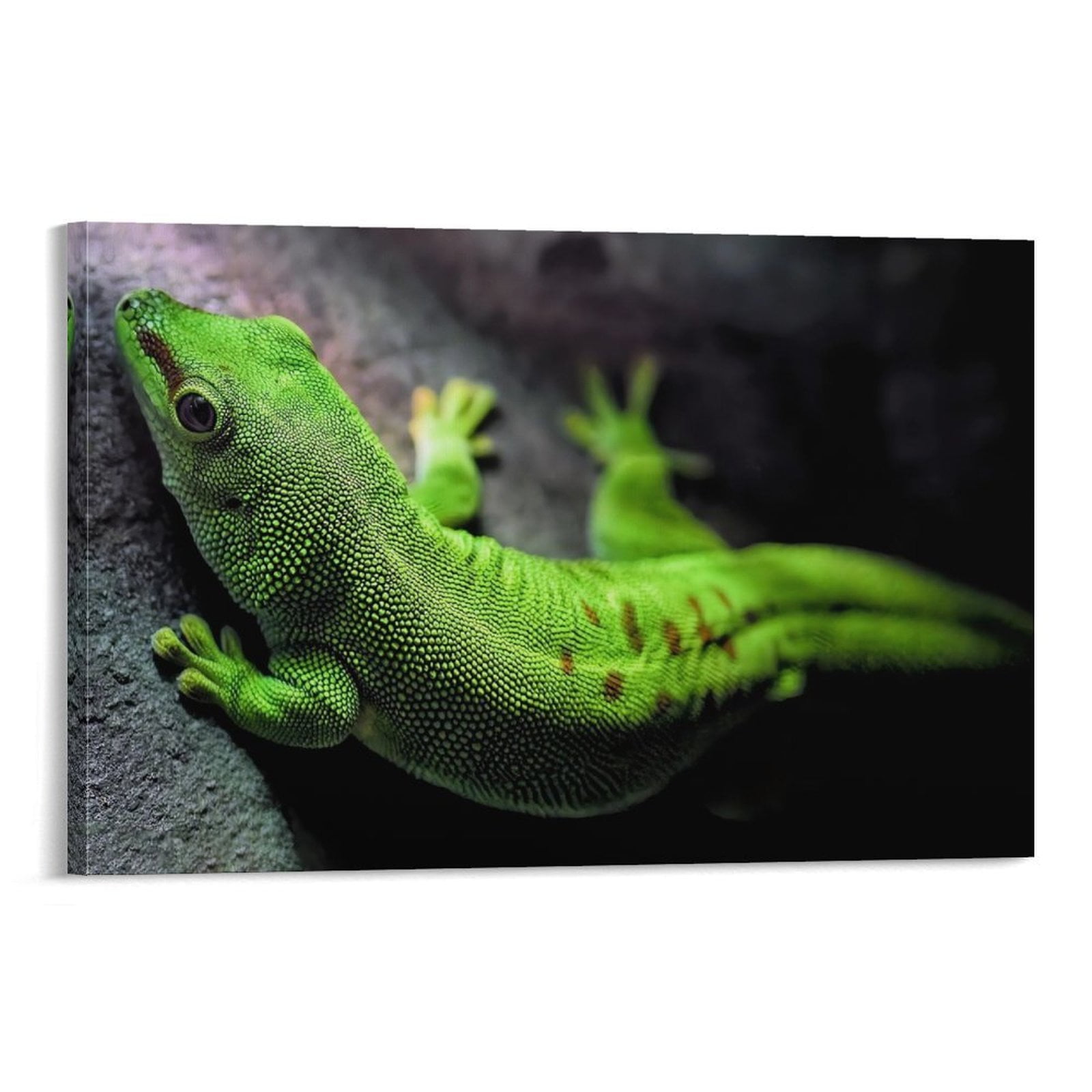 Gecko Cute Animal Canvas Wall Art Poster Decorative Bedroom Modern Home ...
