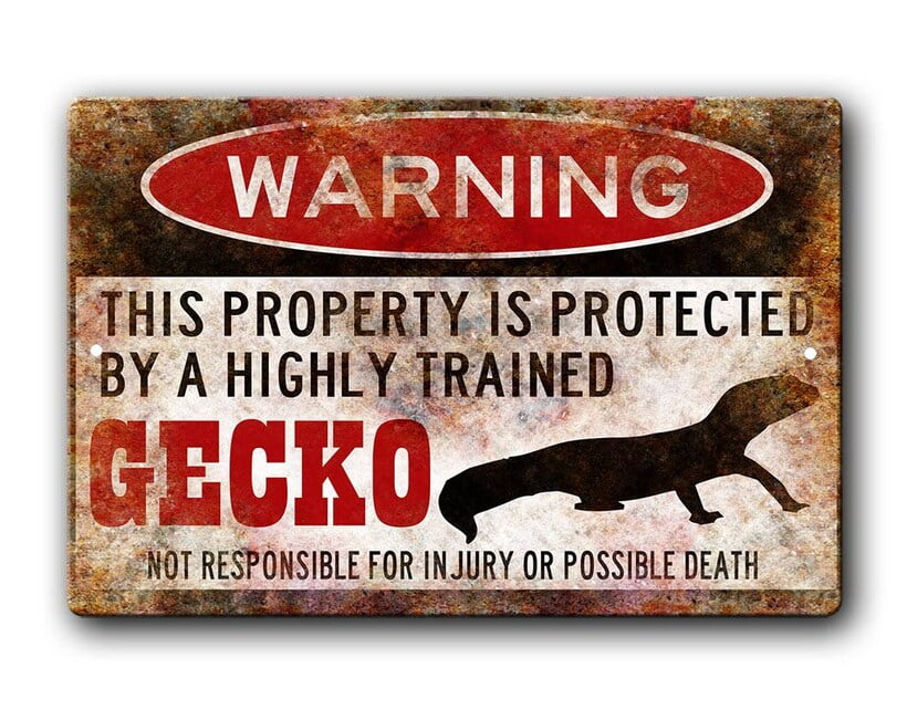 Gecko Sign,Funny Metal Signs,Gecko Gift,Gecko accessories,Gecko Warning ...