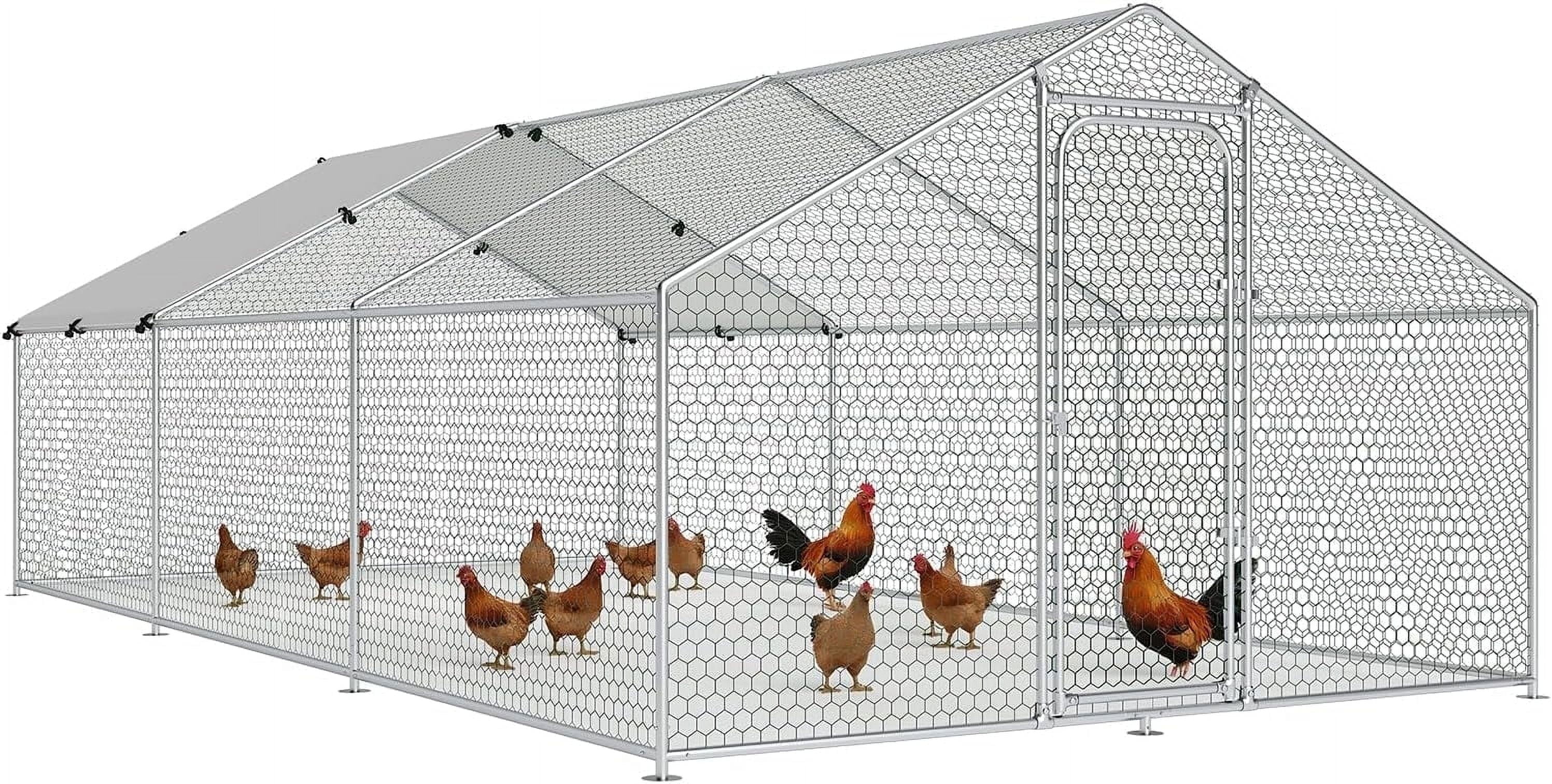 GeeLoon Extra Large Chicken Coop 10 x 19.7 ft Metal Walk-in Chicken Run ...