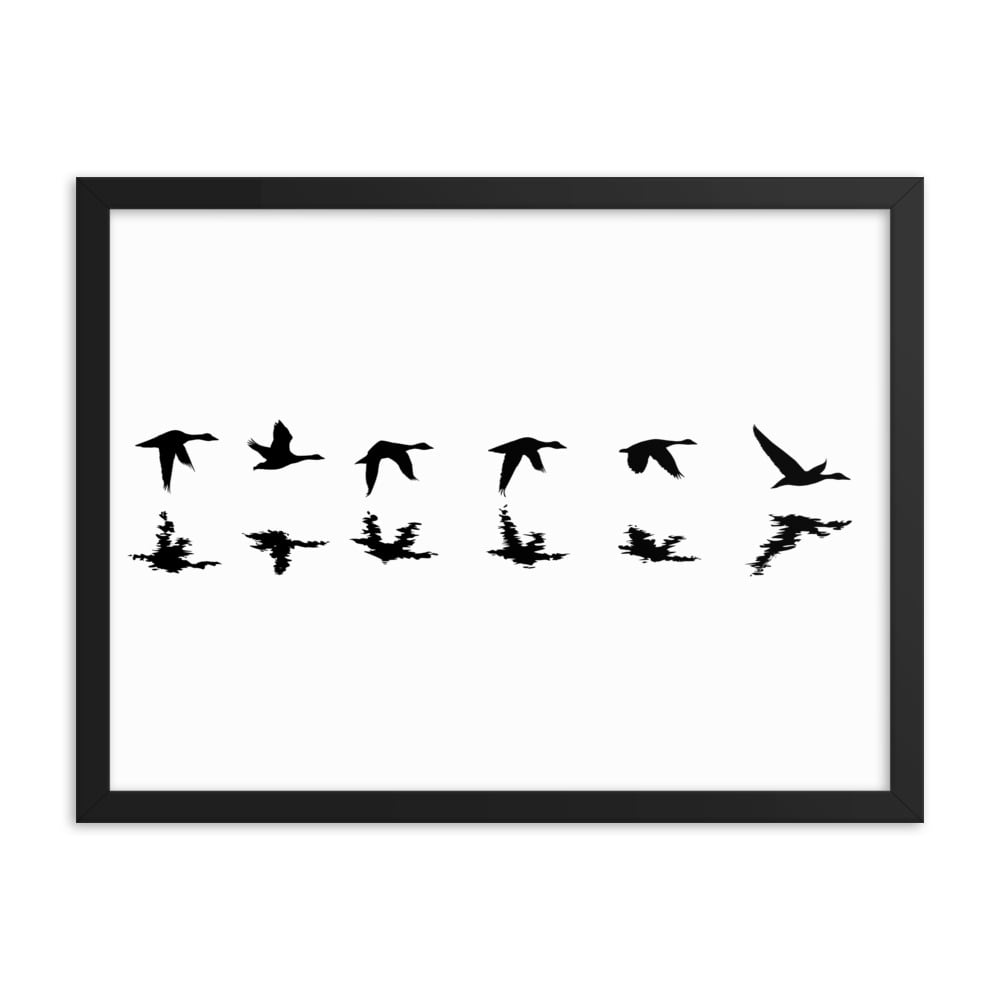 Geese Over Water (18″×24″) | Picture & Home Decor | Art Prints | Artist ...