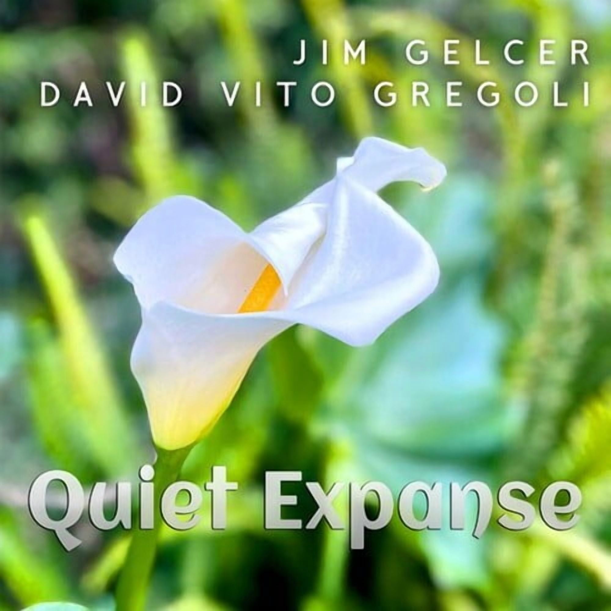 Gelcer,Jim / Gregoli,David Vito - Quiet Expanse - Music & Performance ...