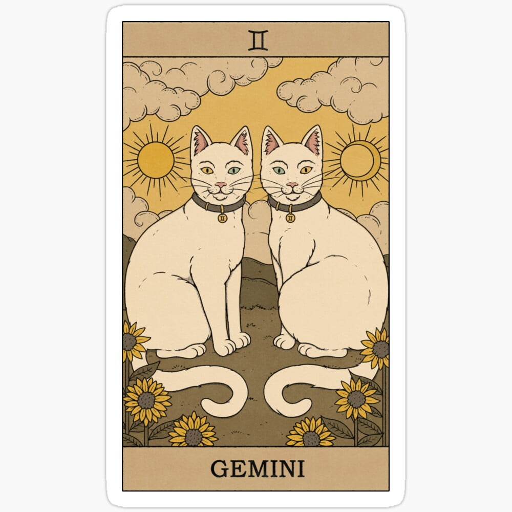 Gemini Cat Sticker Phone Decal Water Bottle Stickers Car Decals, Laptop ...
