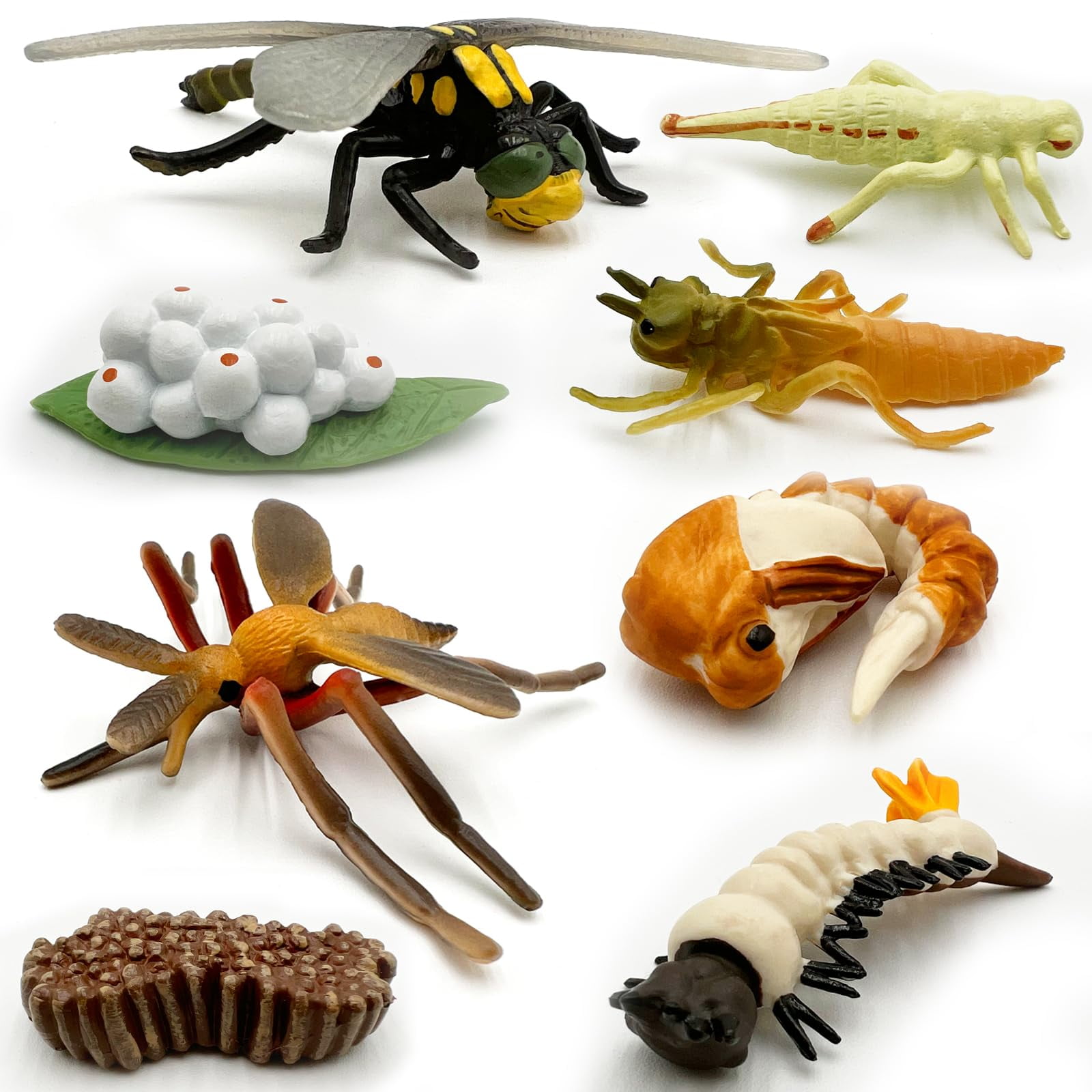 Gemini & Genius Life Cycle of Mosquito and Dragonfly Figurines, Insect ...