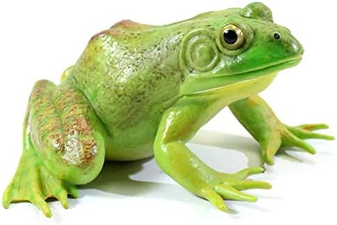 Gemini&Genius Tree Frog Toy Figure for Kids, Realistic Hand Painted Toy ...