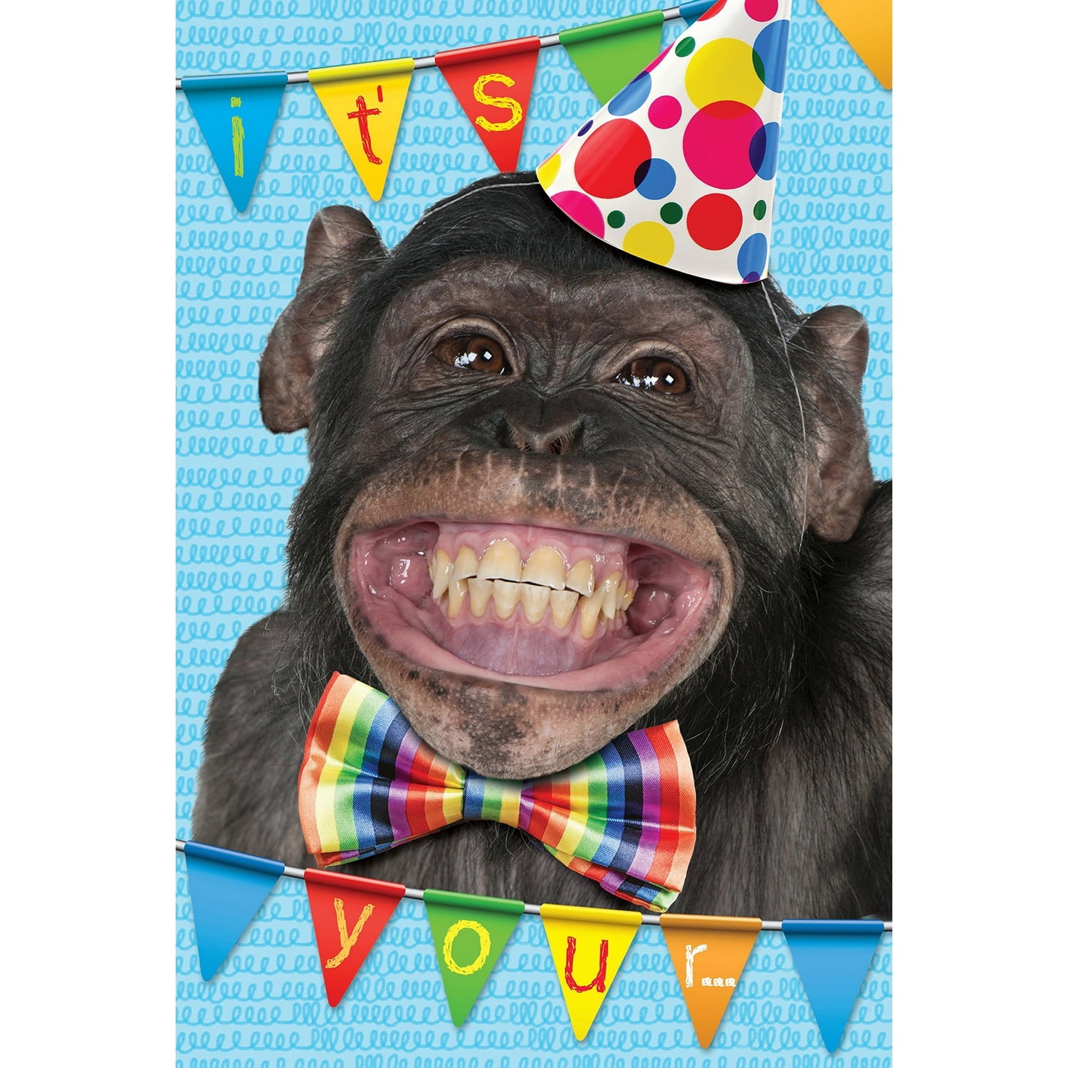 Gemma International It 's Your Birthday! Chimpanzee Greetings Card ...