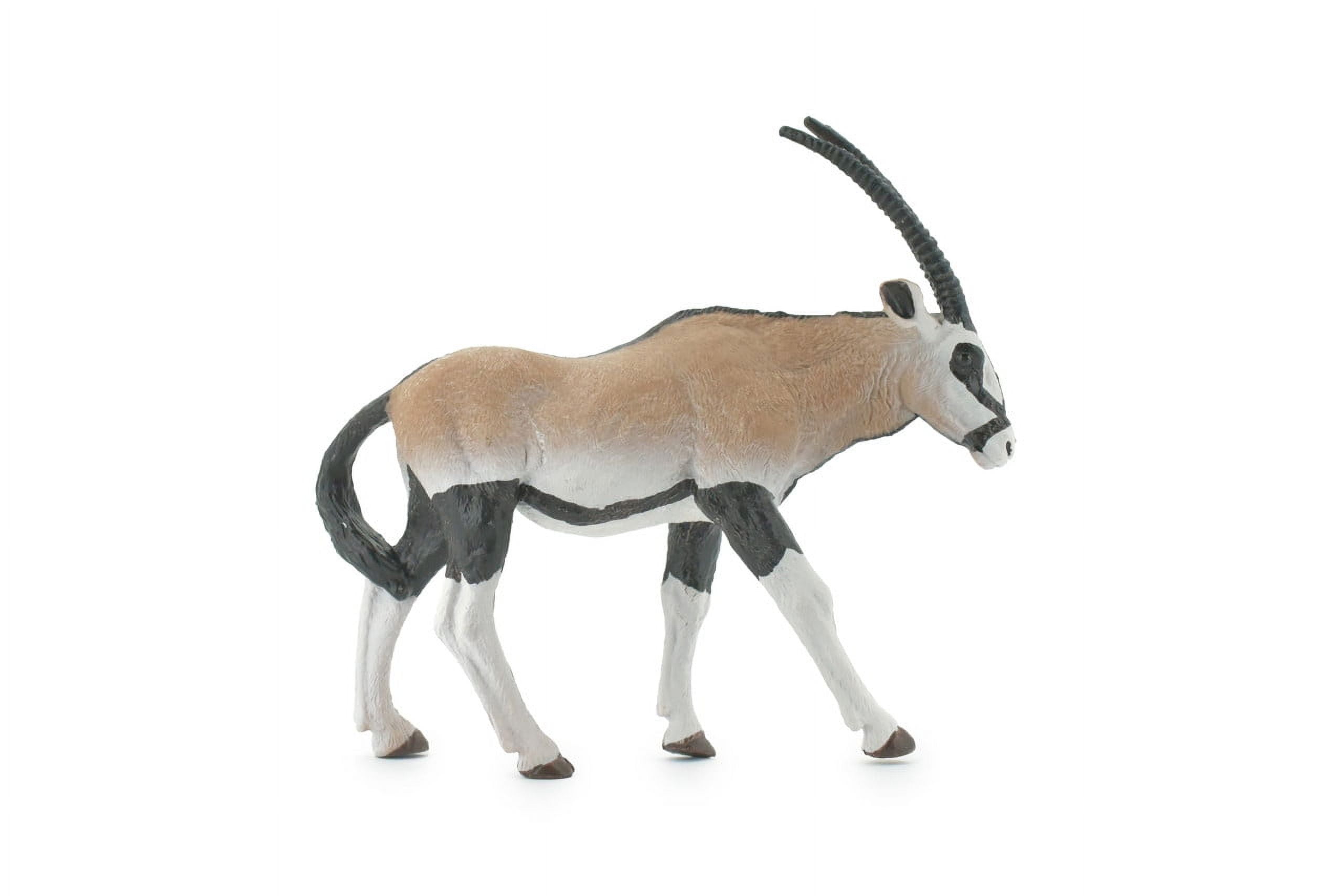 Gemsbok, South African oryx, Museum Quality, Hand Painted, Rubber ...