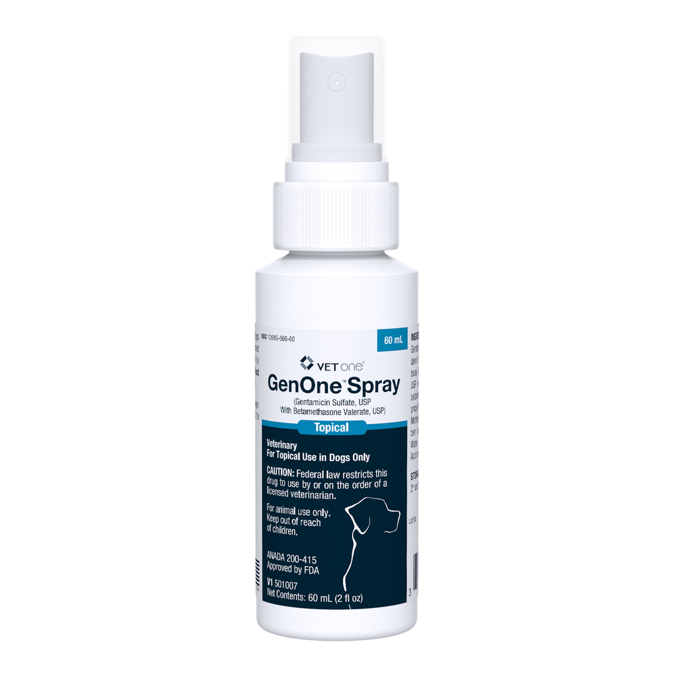 GenOne (Gentamicin Sulfate) Spray Topical Solution - Walmart.com
