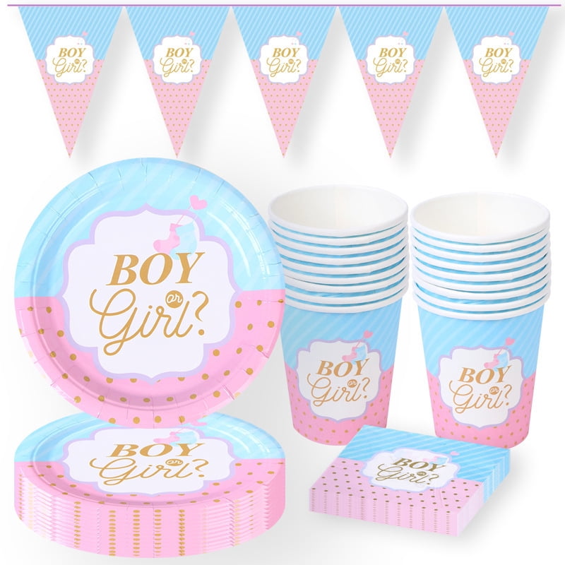 Gender Boy Girl Reveal Boy or Girl Party Theme Banner Paper Plate ...