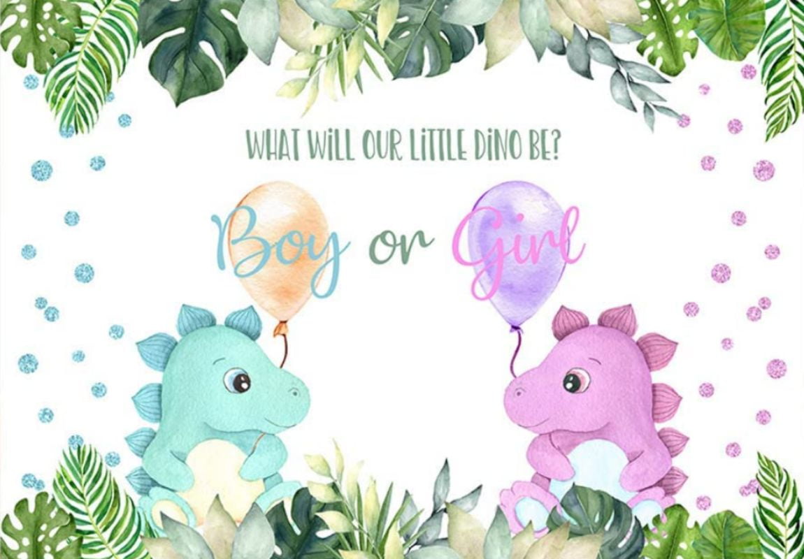 Gender Disclosure Party Background Boys or Backdrop Blue Pink Banner ...