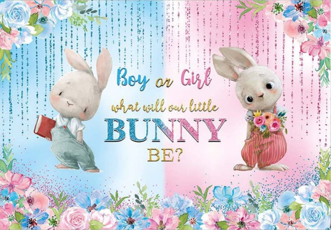 Gender Disclosure Party Background Boys or Backdrop Blue Pink Banner ...