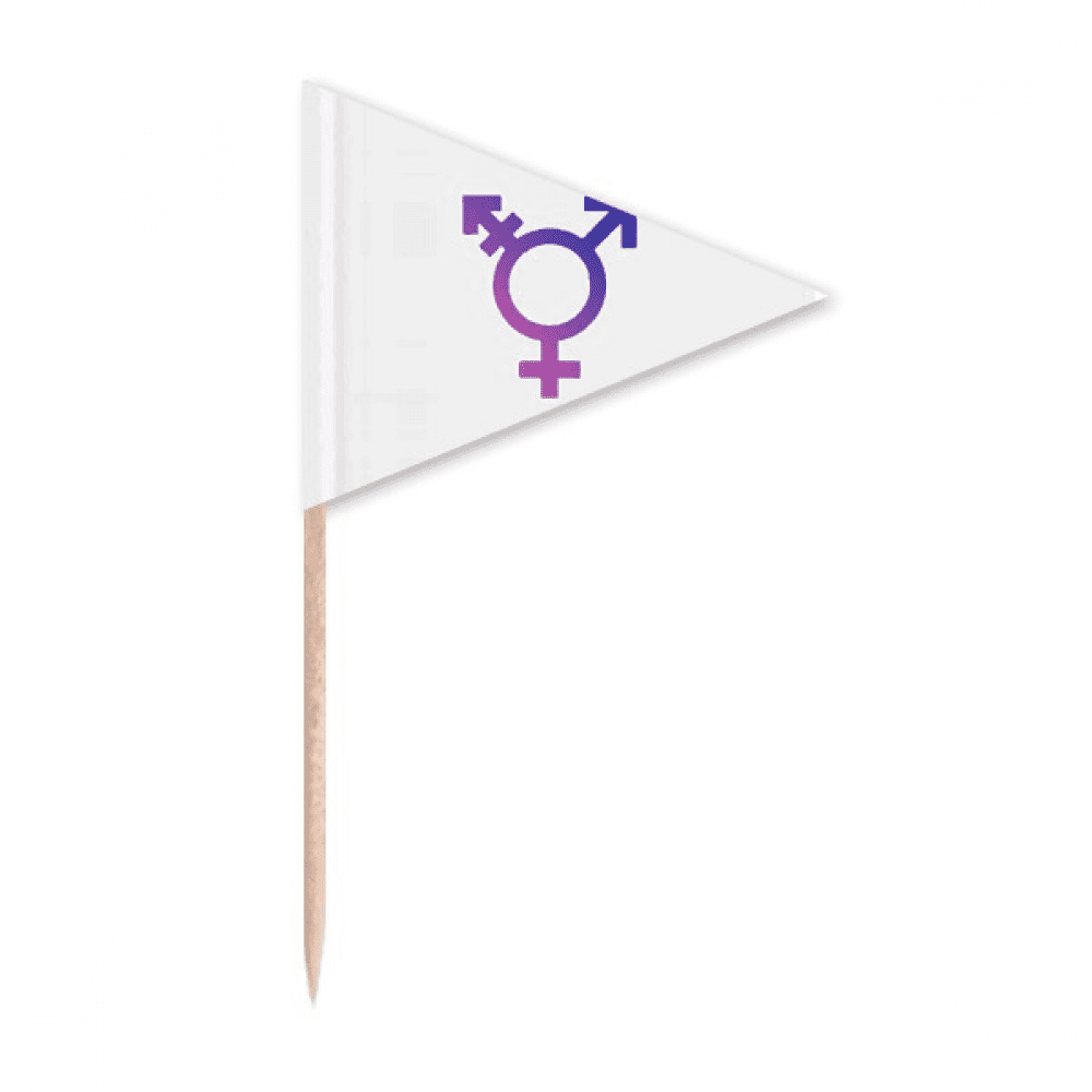 Gender Identity Rainbow Equality Toothpick Triangle Cupcake Toppers ...